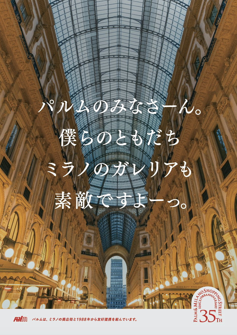 武蔵小山パルム商店街 | daikanayama digital imaging